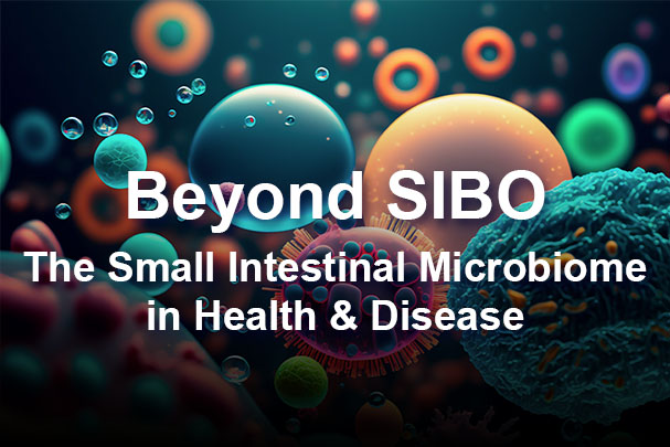 Event: Beyond SIBO: The Small Intestinal Microbiome in Health and ...