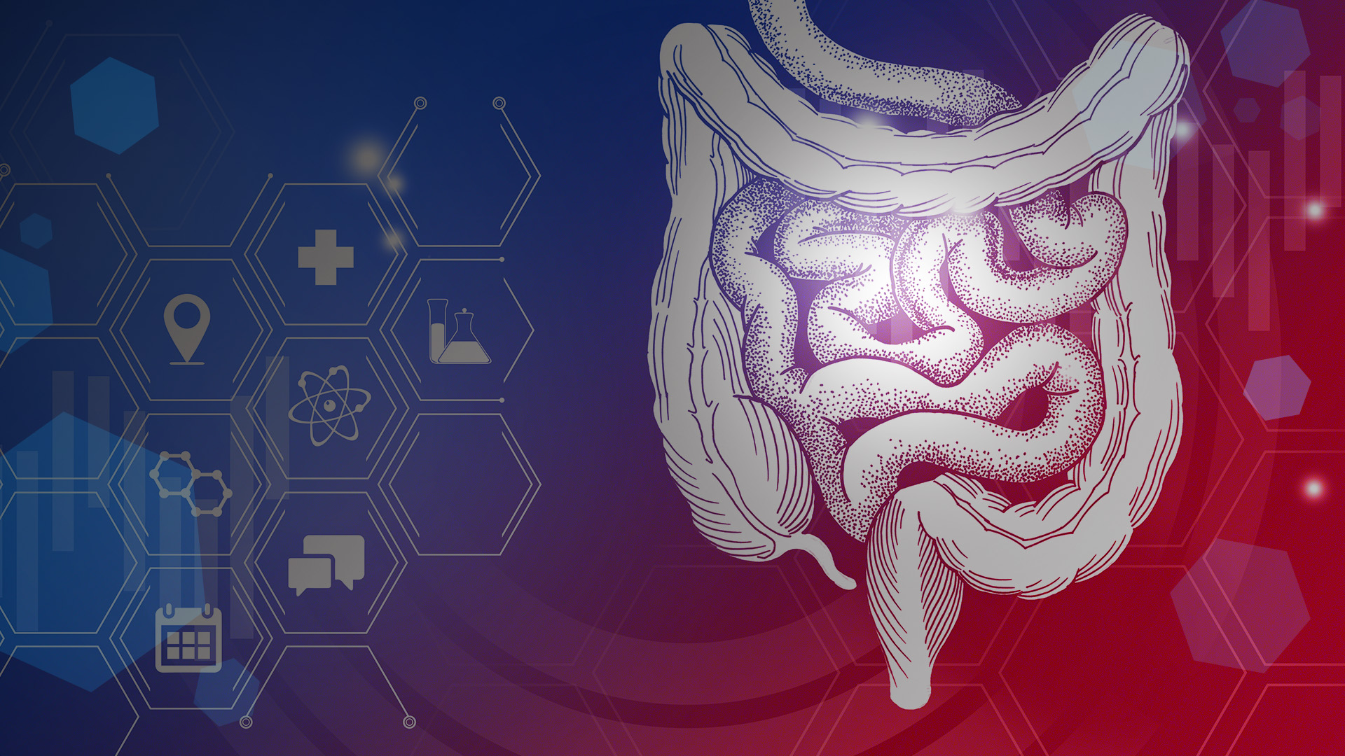 Webinars: Gut Motility & The Microbiome: Comprehensive Insights with GI ...